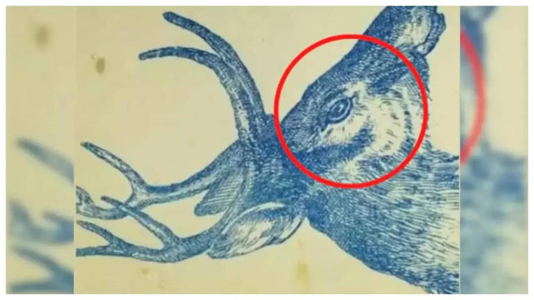 Optical illusion: Can you spot the hidden rabbit in under 10 seconds?
