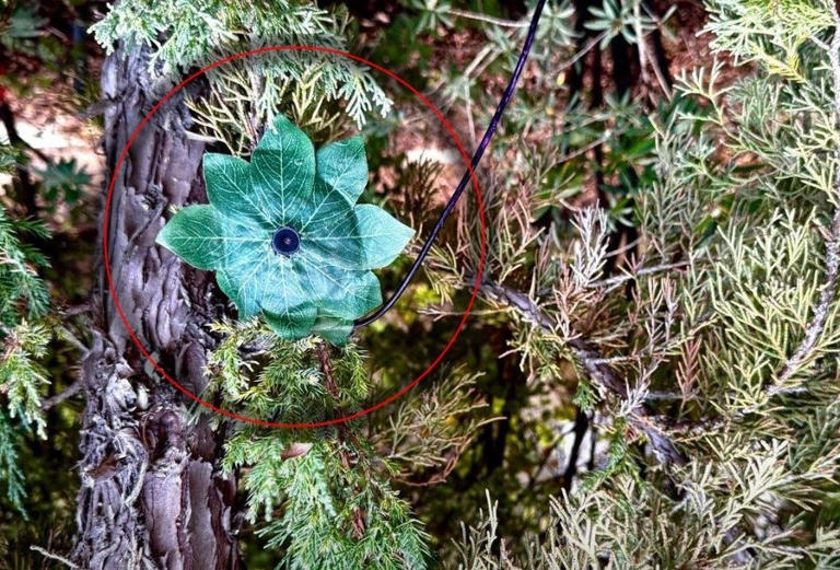 Police issue warning after hidden camera found outside San Bernardino ...