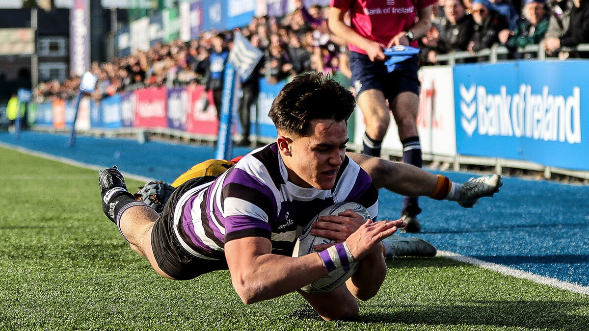 Terenure College bridge 16-year gap to reach Leinster Schools Cup final ...