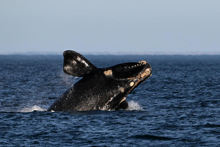 ‘Paradise’ Season 1 Episode 8 Review: “The Man Who Kept The Secrets”