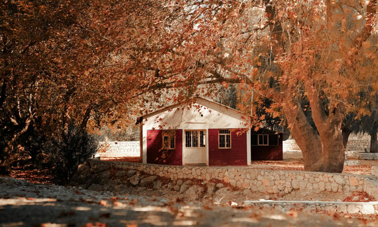 My grandfather leaves most inheritance to daughter instead of sons