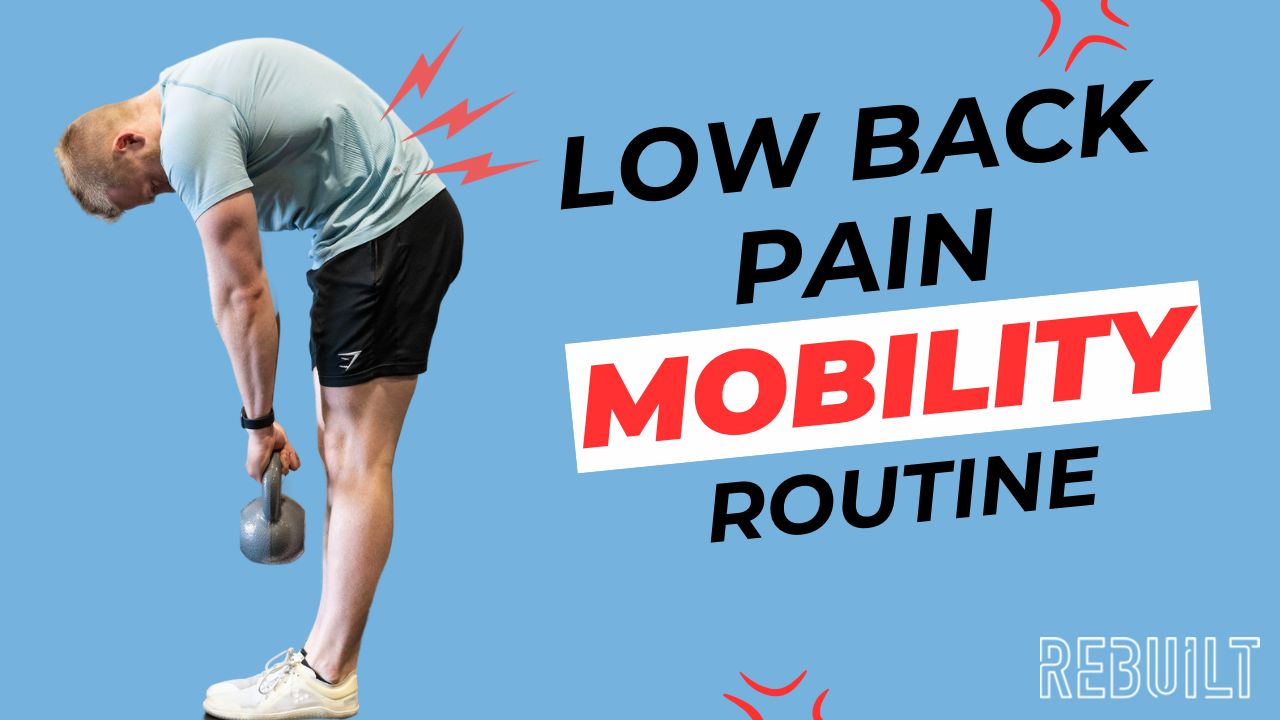 Low Back Mobility Routine | Easy for Beginners!