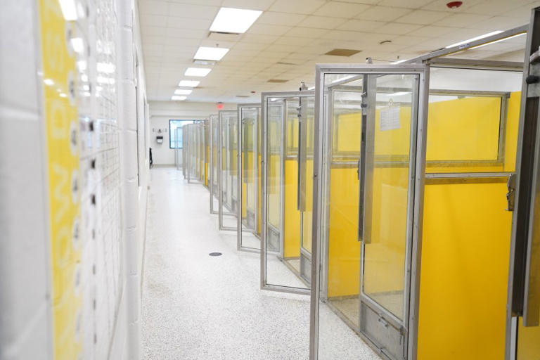 Kansas City-area animal shelters team up for massive pet adoption event ...