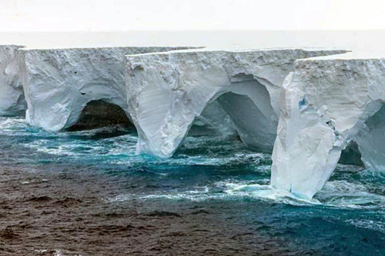 El iceberg más grande del mundo encalla en aguas poco profundas cerca de Georgia del Sur