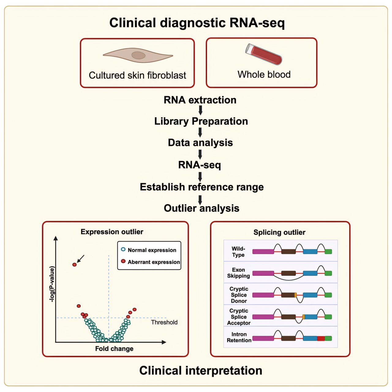 First clinical RNA sequencing test promises enhanced genetic diagnostics