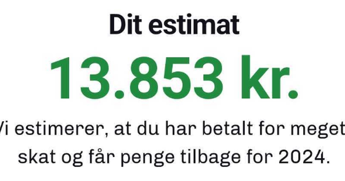 Sådan kan du allerede se, hvor mange penge du får tilbage fra Skat i 2025