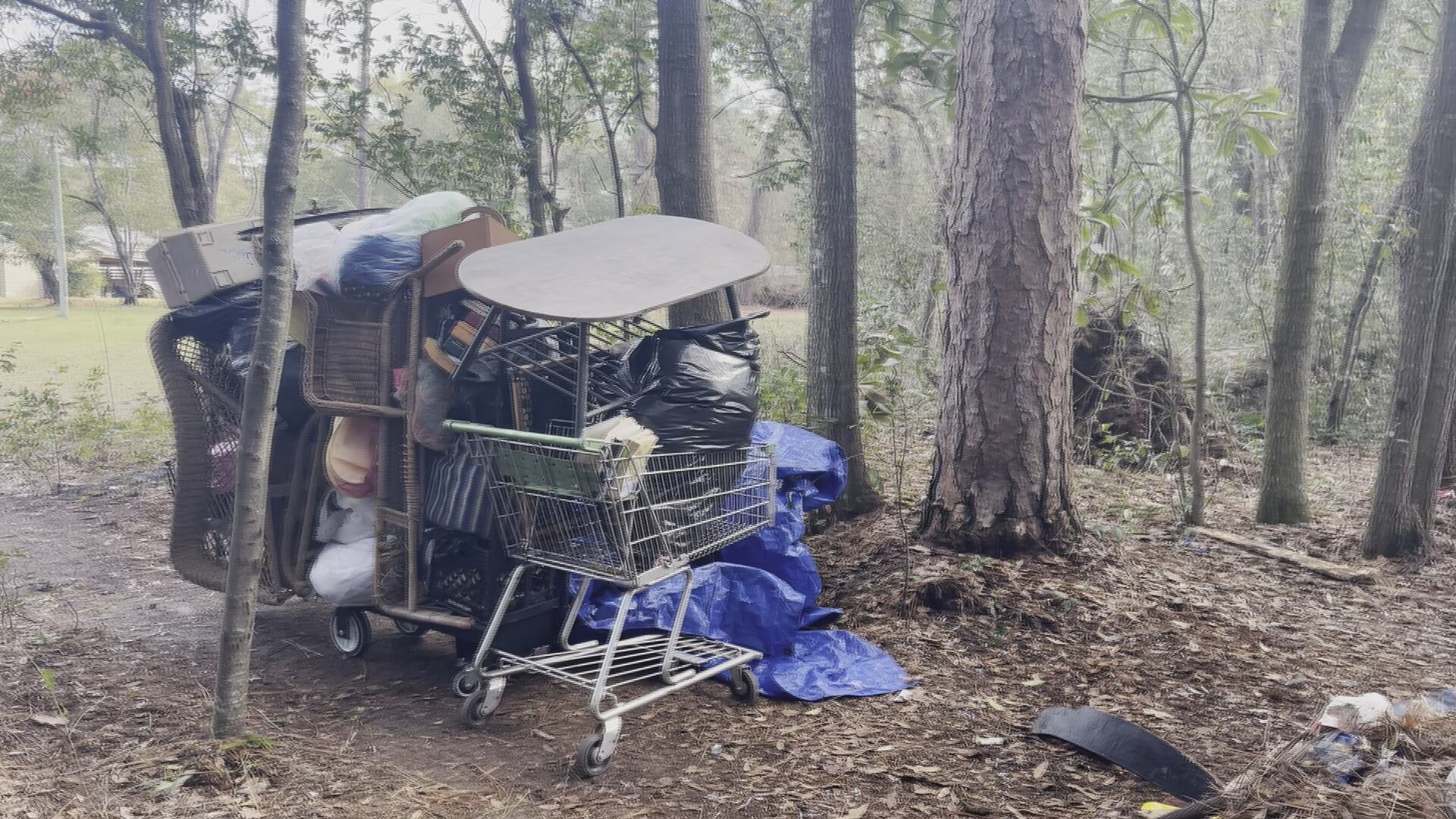 The face of homelessness has changed since COVID-19, Tallahassee ...