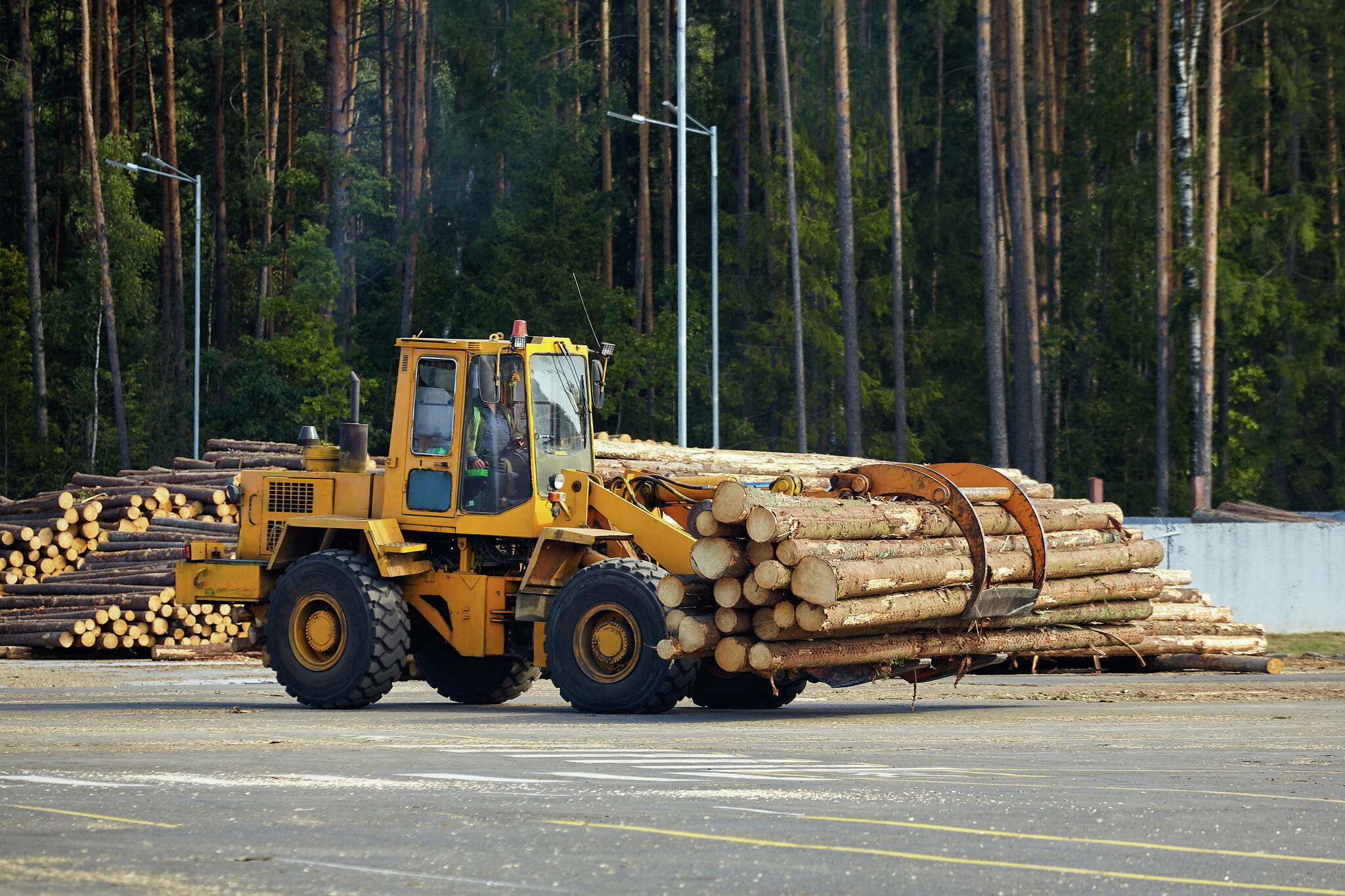 Increased lumber production could impact national forests, expert warns