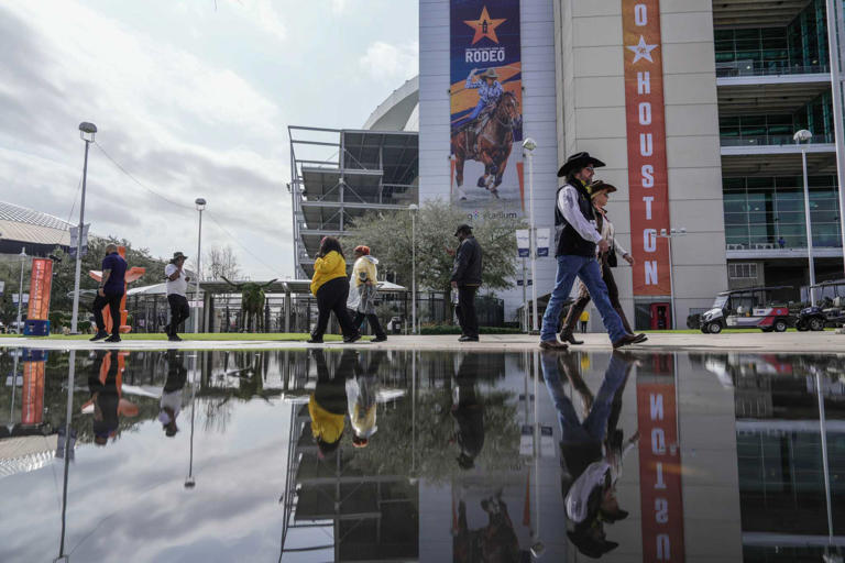 Heifer breaks loose from Houston Livestock Show and Rodeo before being ...