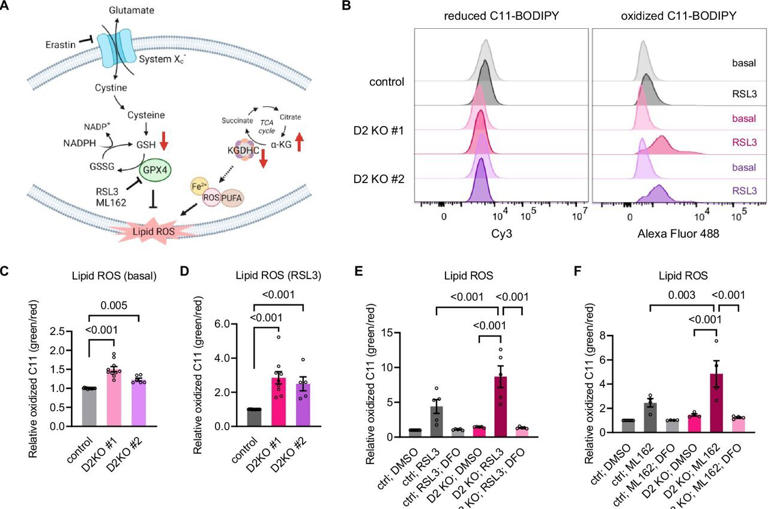 Understanding how metabolism contributes to Parkinson's disease