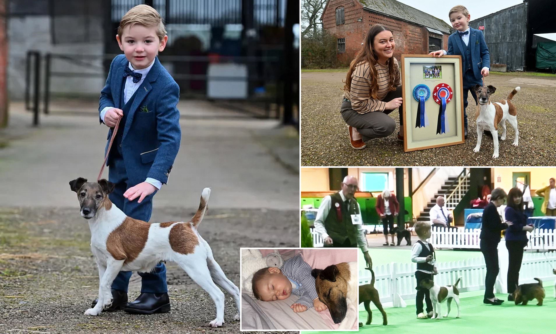 Boy, 6, will become Crufts' youngest entrant - with best friend pooch