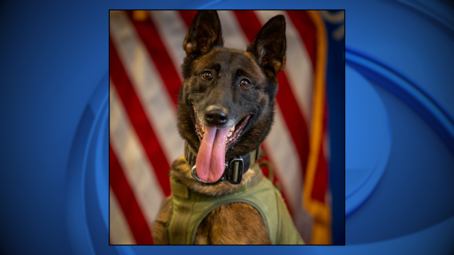 Police K9 deployment in Wisconsin leads to man getting 3.5 years in ...