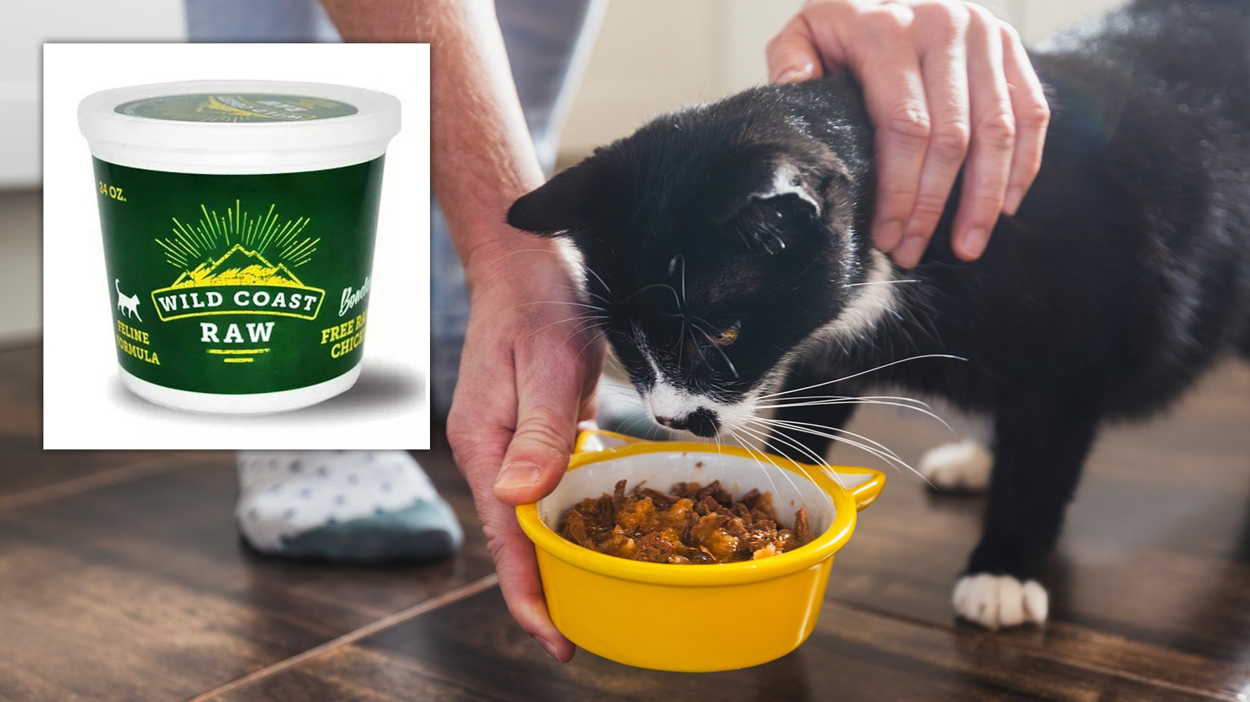 Cat food recalled over possible bird flu contamination in two US states