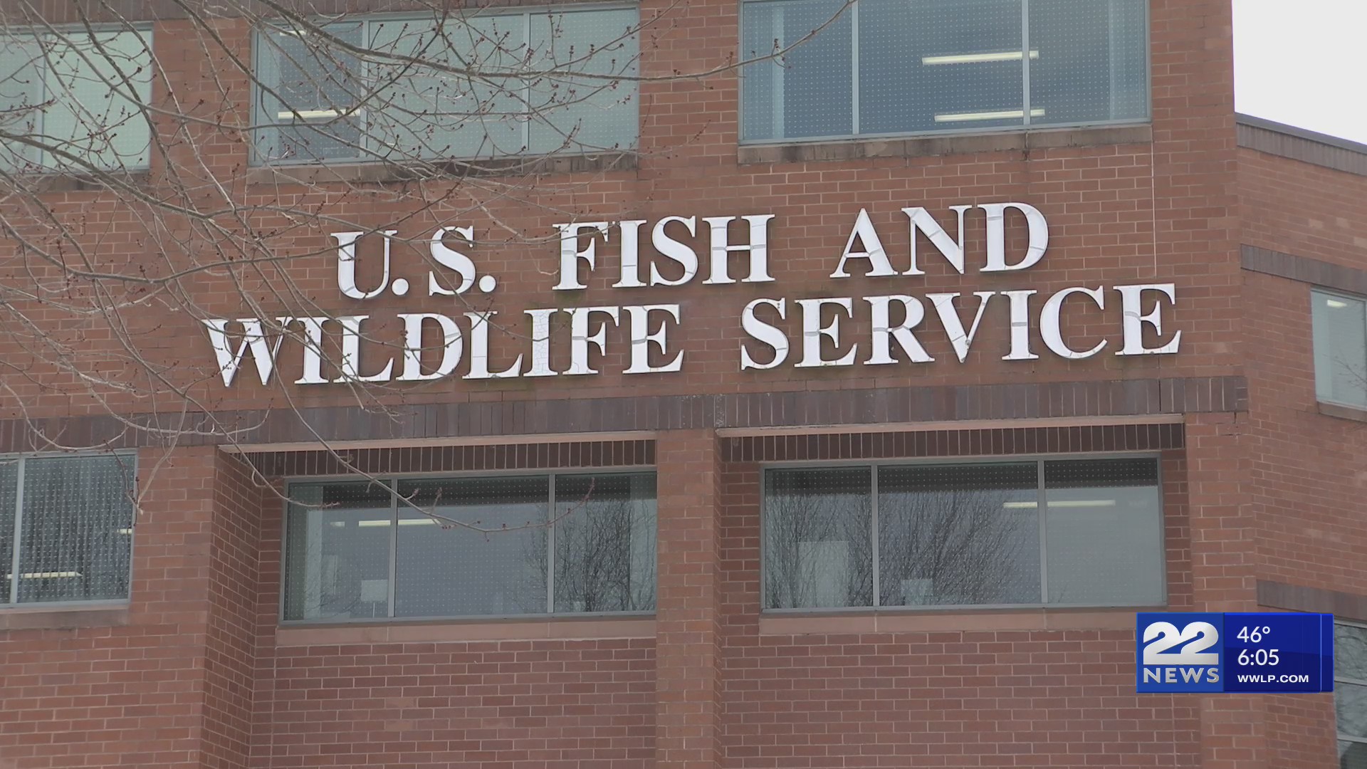 Hadley Fish and Wildlife office set to close in federal cuts