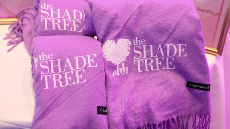 Shade Tree shelter seeks donations for summer camp program