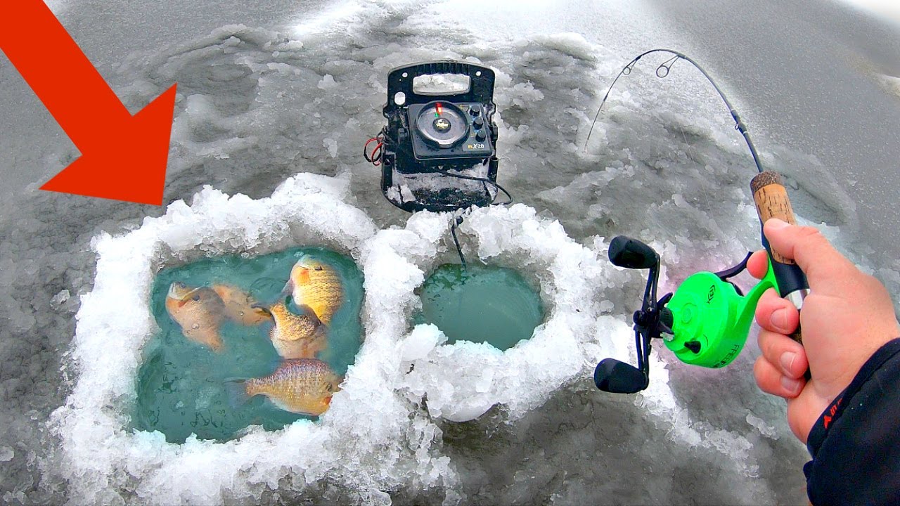 Building a fish trap while ice fishing for dinner