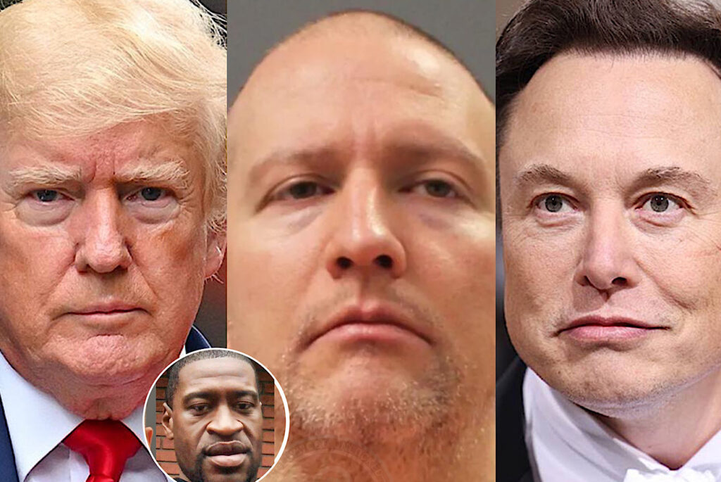 Elon Musk Suggests Donald Trump Should ‘Think About’ Pardoning George ...