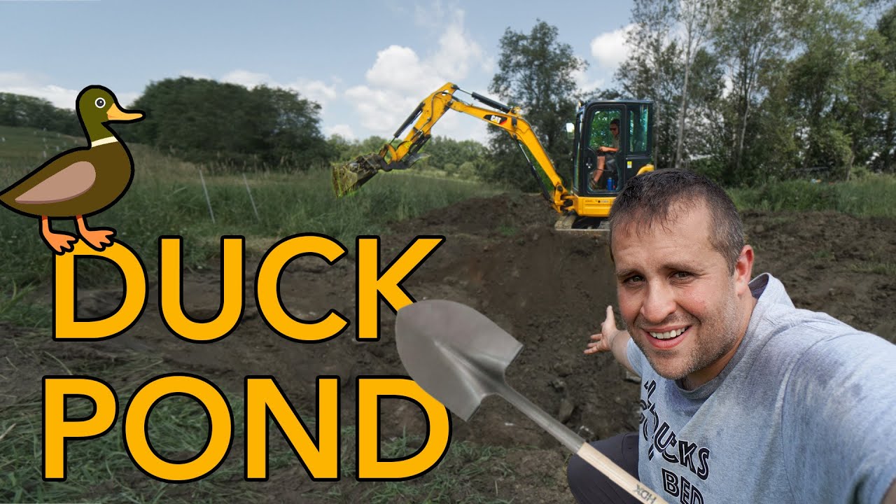 We Dug a Duck Pond