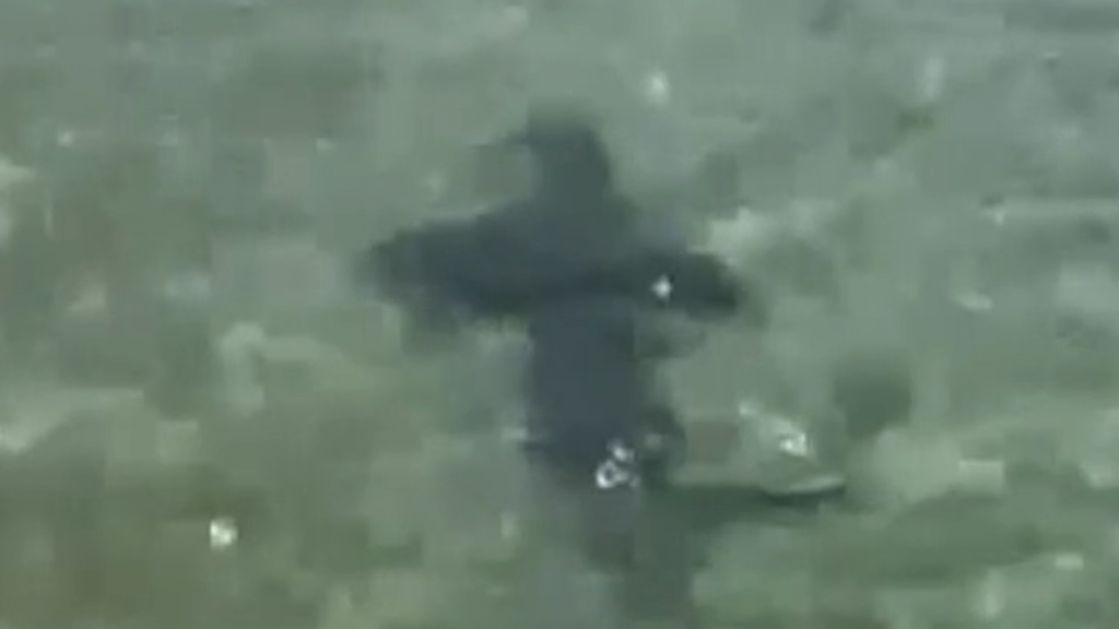 Large shark spotted near popular Victorian swimming spot