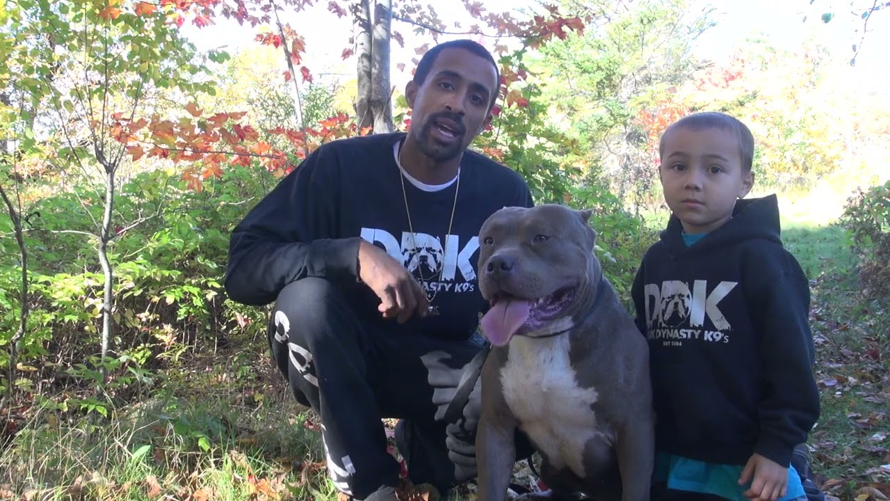 Iceman Protects Us—Meet The Dog Of The Day