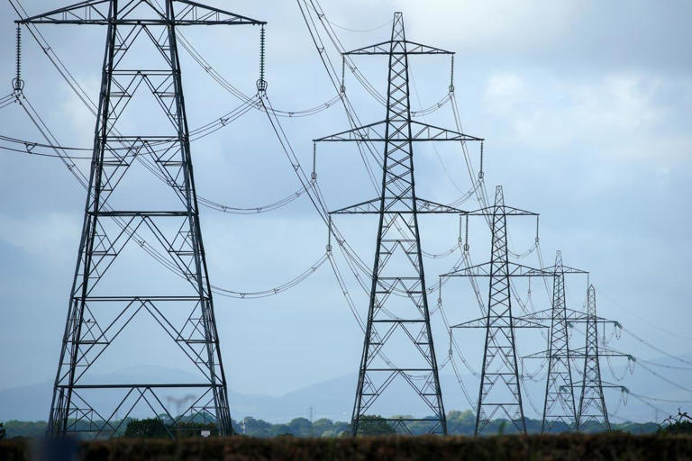 SNP warned over 'hundreds of kilometres of monster pylons' across ...