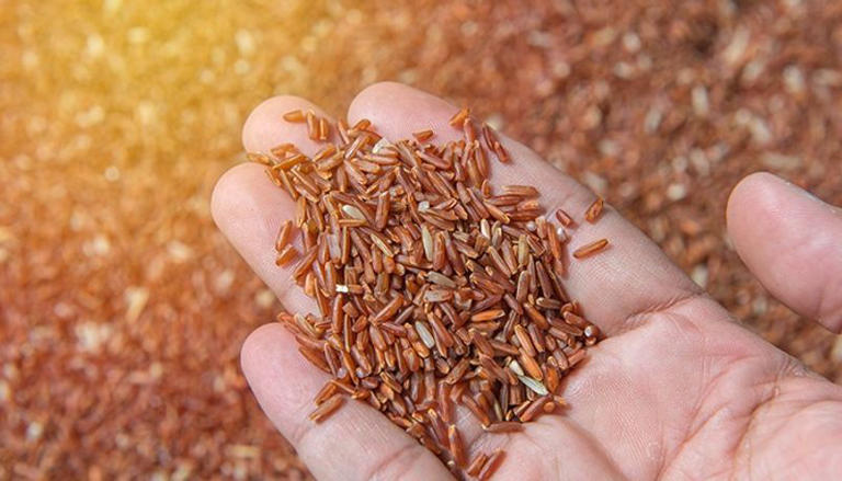 Brown rice to Basmati-Top 5 Best Rice Types for Weight Loss