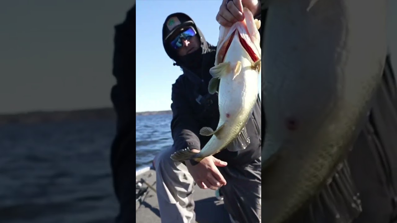 How a $1000 lure fools giant bass on first strike