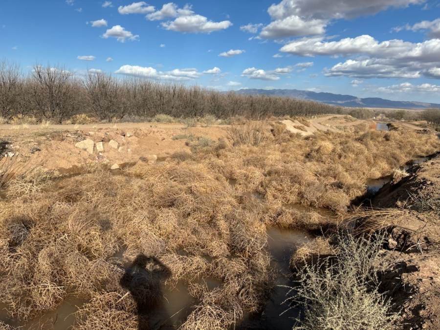 High winds impact irrigation ditch clean up along the Rio Grande