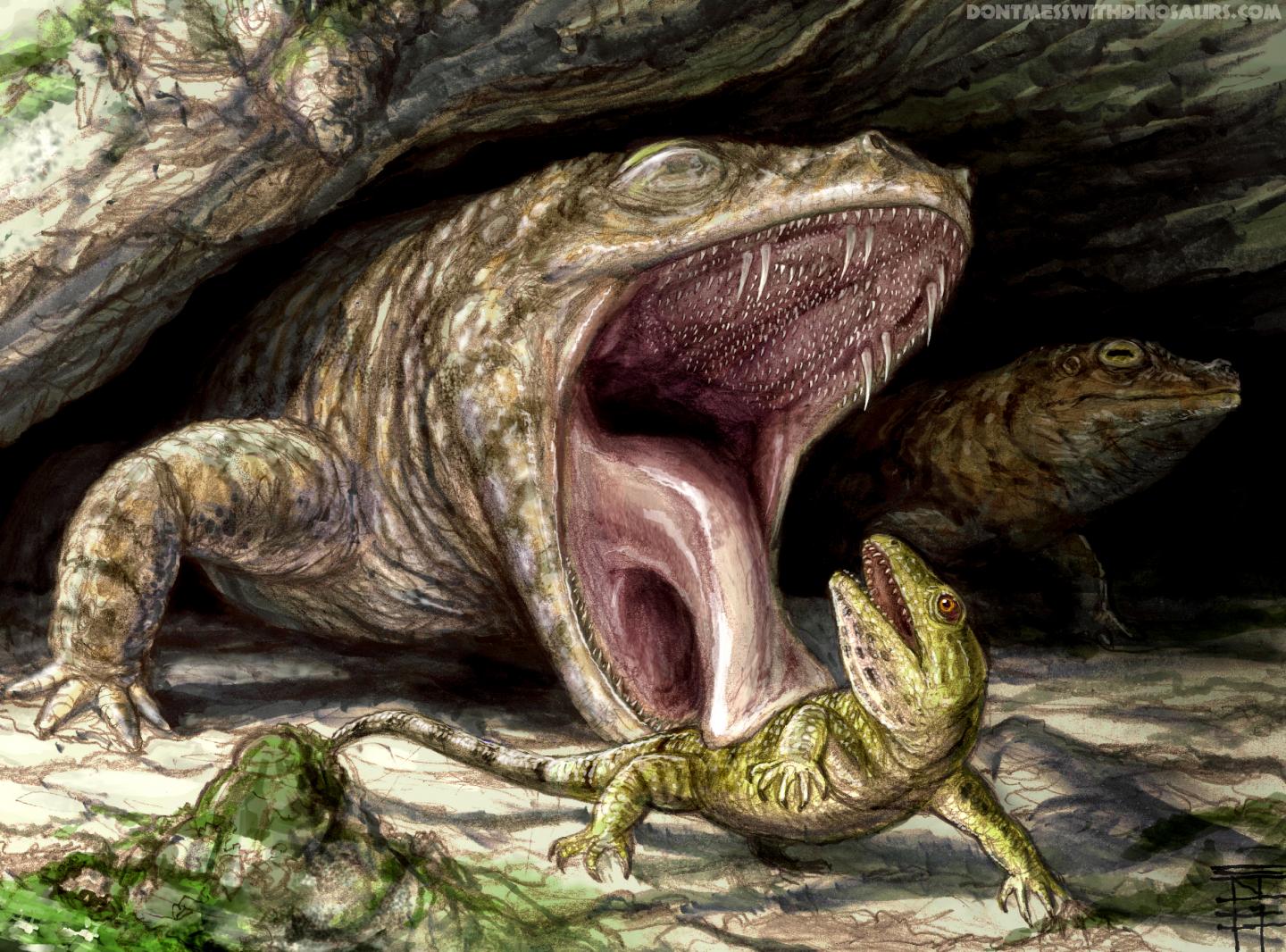 Ancient Frogs Survived Earth's Greatest Mass Extinction Event by Not ...