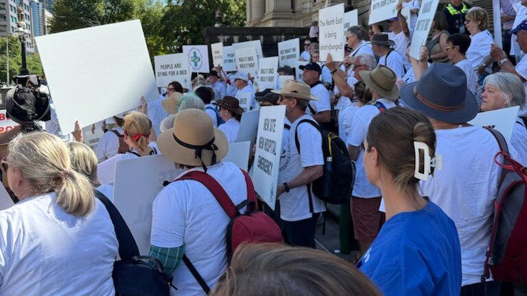 Melbourne rally hears Albury hospital redevelopment will put lives at risk