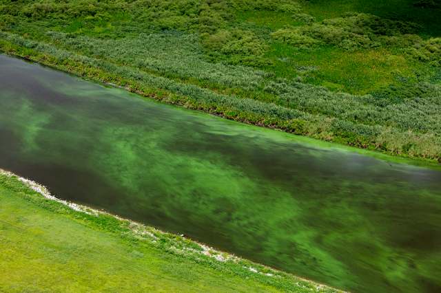 Scientists make game-changing breakthrough with hazardous waste: 'An ...