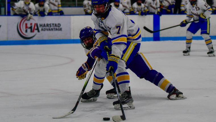 How to watch the Minnesota high school hockey state tournaments ...