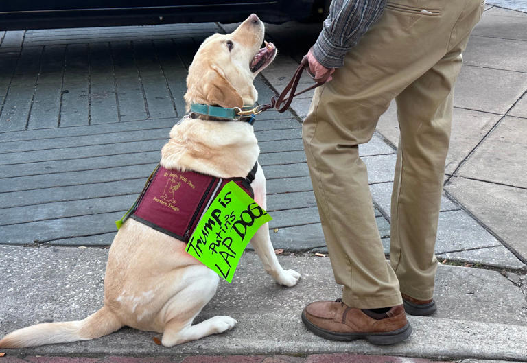 Hundreds protest President Trump, Elon Musk, support Ukraine in DeLand ...