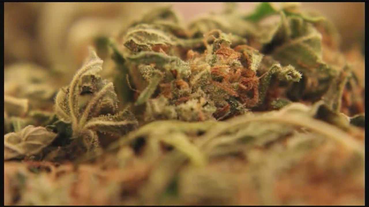 Hinesburg voters choose not to allow retail cannabis sales following ...