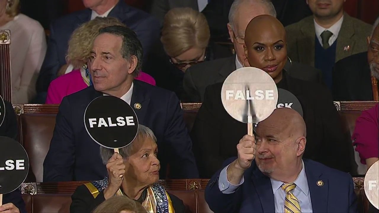 Democrat signs during Trump speech: 'Musk Steals,' 'Save Medicaid'