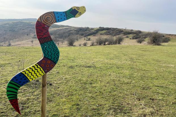 Unique art project in Somerset aims to raise awareness of UK's adders