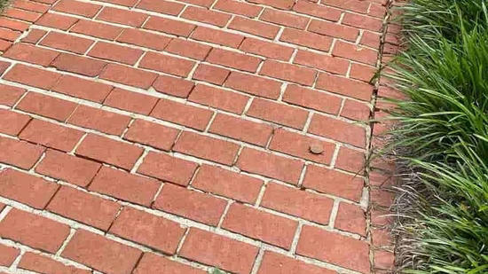 You can be internet’s optical illusion champion if you spot the hidden ...