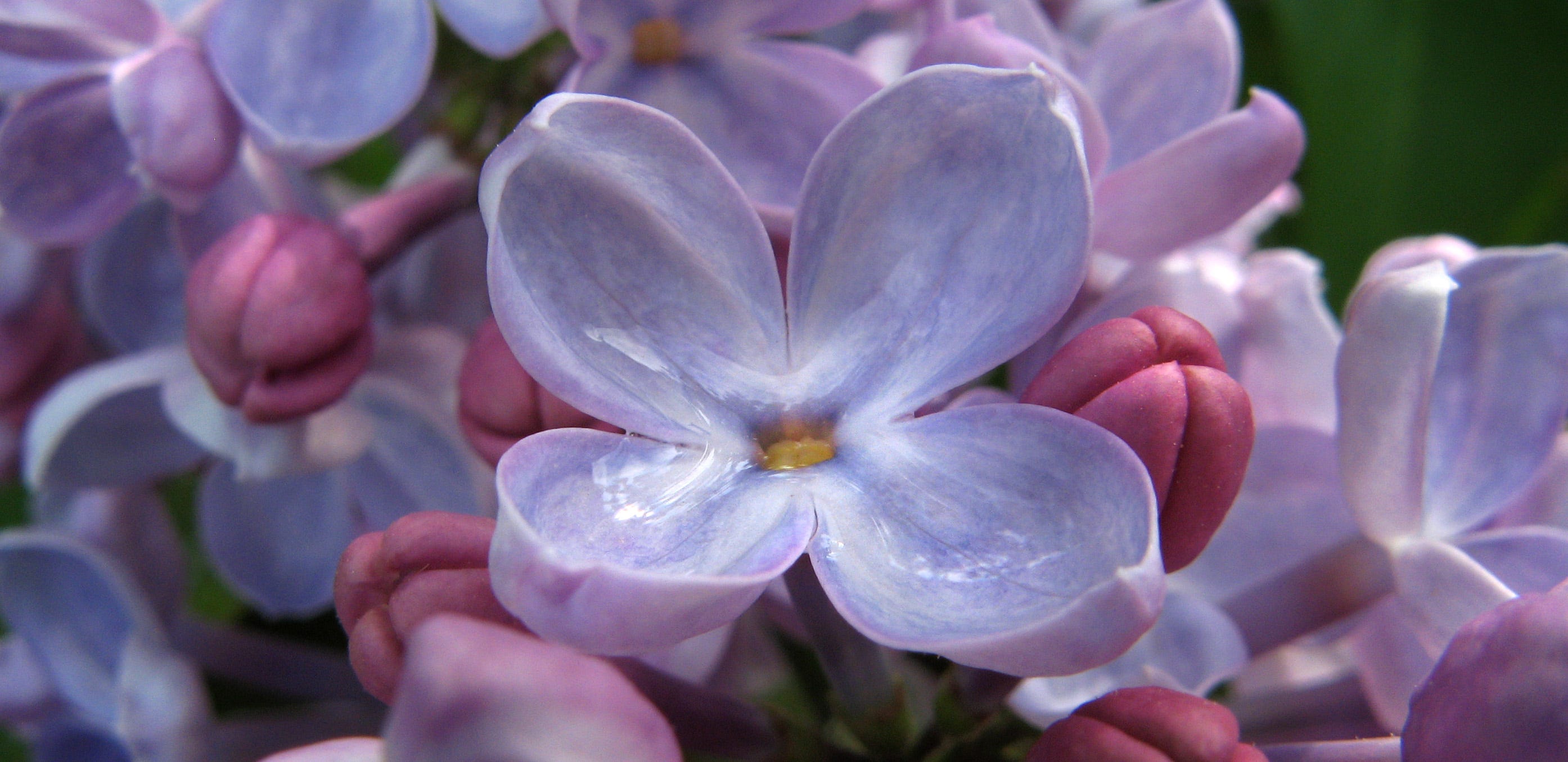 When is the first day of spring 2025? What to know about the spring equinox