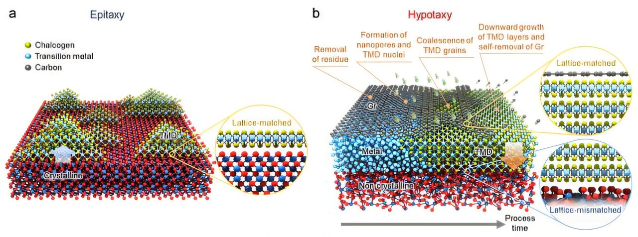 New synthesis technology for single-crystal 2D semiconductors could ...