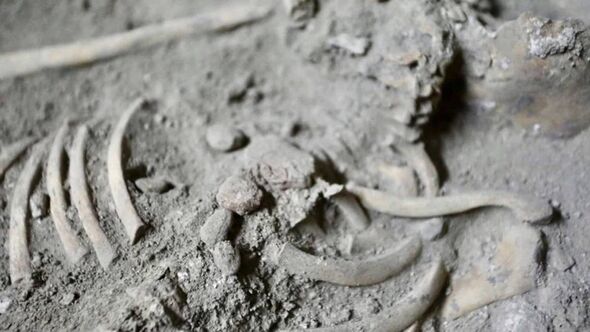 Oldest human skeleton found in Thailand's remote cave challenges ...