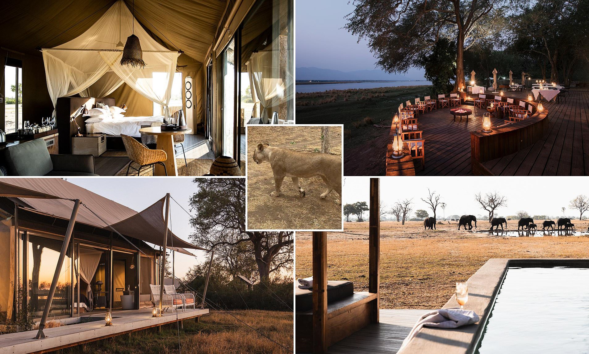 I stayed in two stunning Zimbabwe safari retreats and witnessed 'the ...