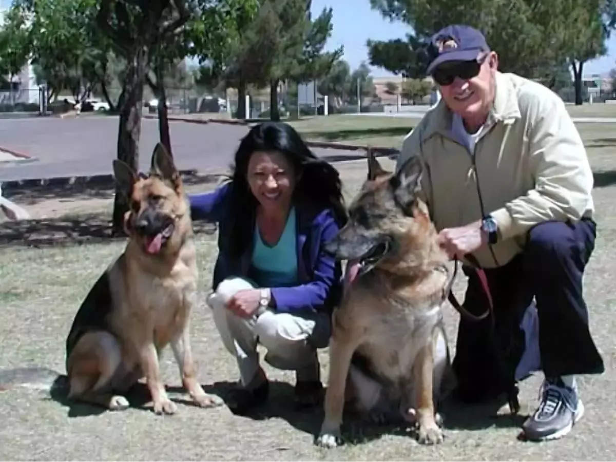 Gene Hackman's misidentified dog mystery: What's behind the canine ...