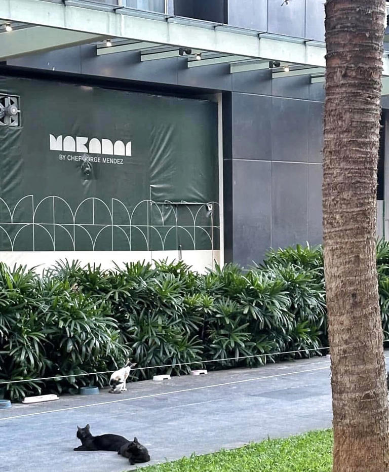 Chef Jorge Mendez: A Taste of Things to Come