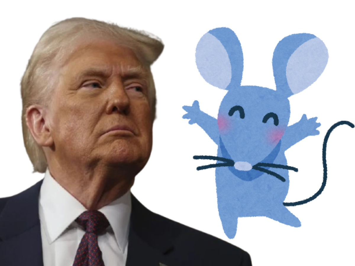 Trump says 'transgender mice,' internet says 'wait, what?', and the ...