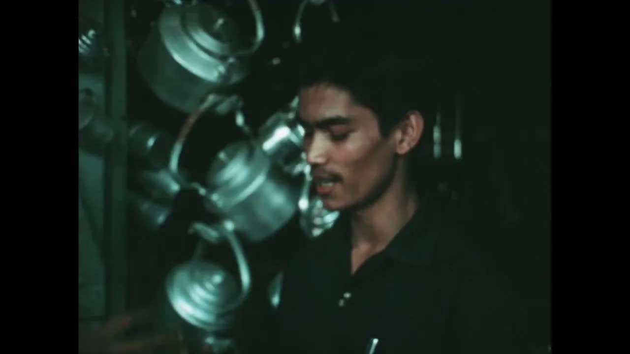 Southeast Asia: Rice Farming, Fishing, and River Life