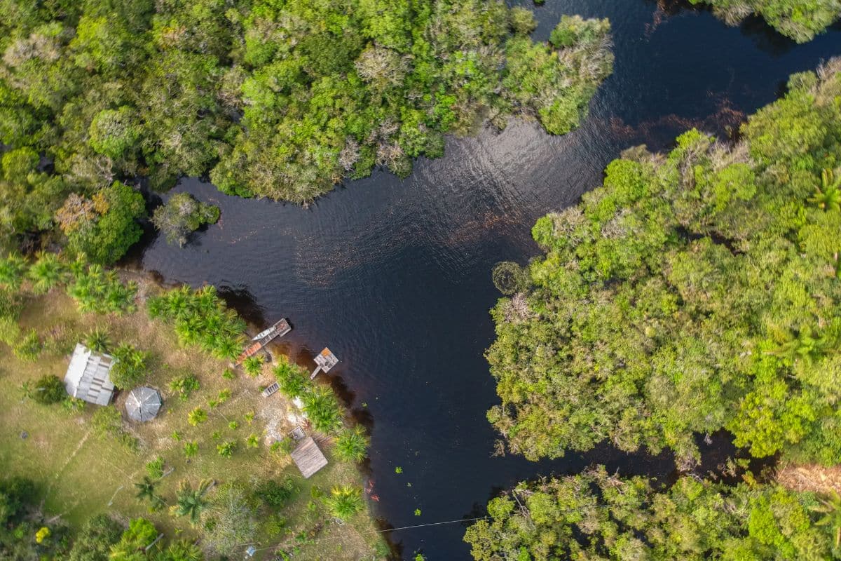 More Than Two Dozen Unusual Fish Species Discovered In Peru And The Amazon