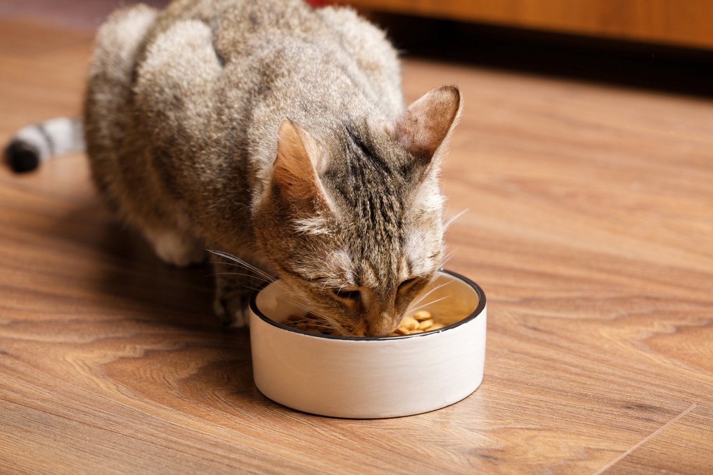 Sally Forth by Francesco Marciuliano; drawn by Jim Keefe