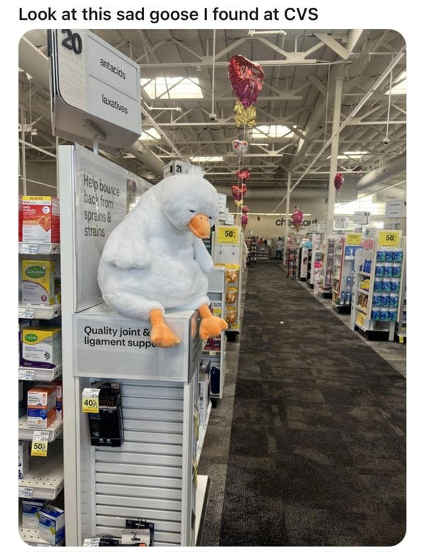 40 Funny Pictures To Help You Survive This Midweek Slump (March 5, 2025)