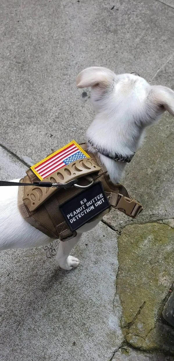 40 Funny Pictures To Help You Survive This Midweek Slump (March 5, 2025)