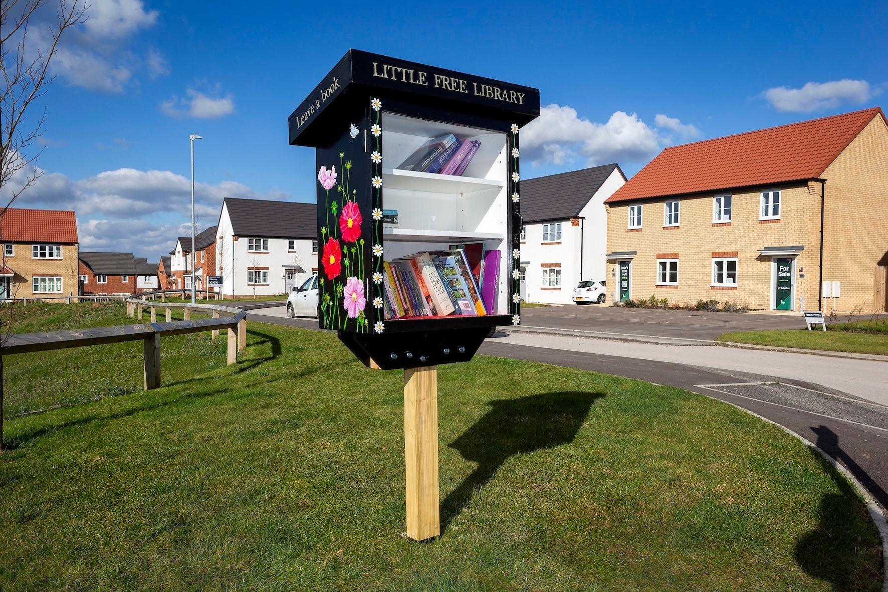 Lovell unveils mini library in Louth